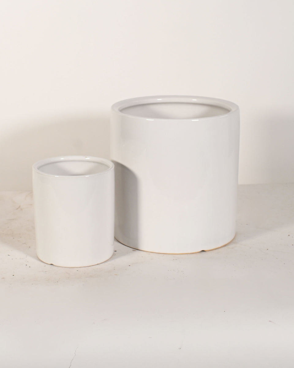 5" & 8" Ceramic Pots Bundle – UPshining